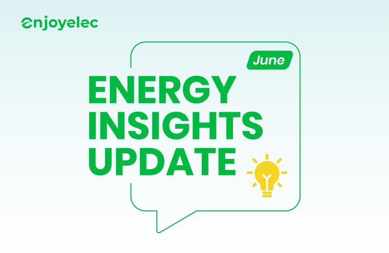 Dynamic Electricity Tariffs in Germany 2025: How enjoyelec’s HEMS ...